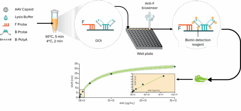cory, Author at Gator Bio