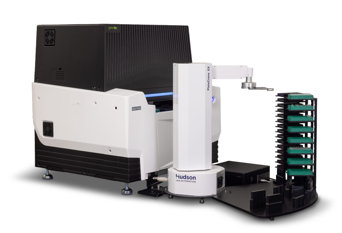 Biolayer Interferometry BLI Technology | Instruments & Biosensors ...